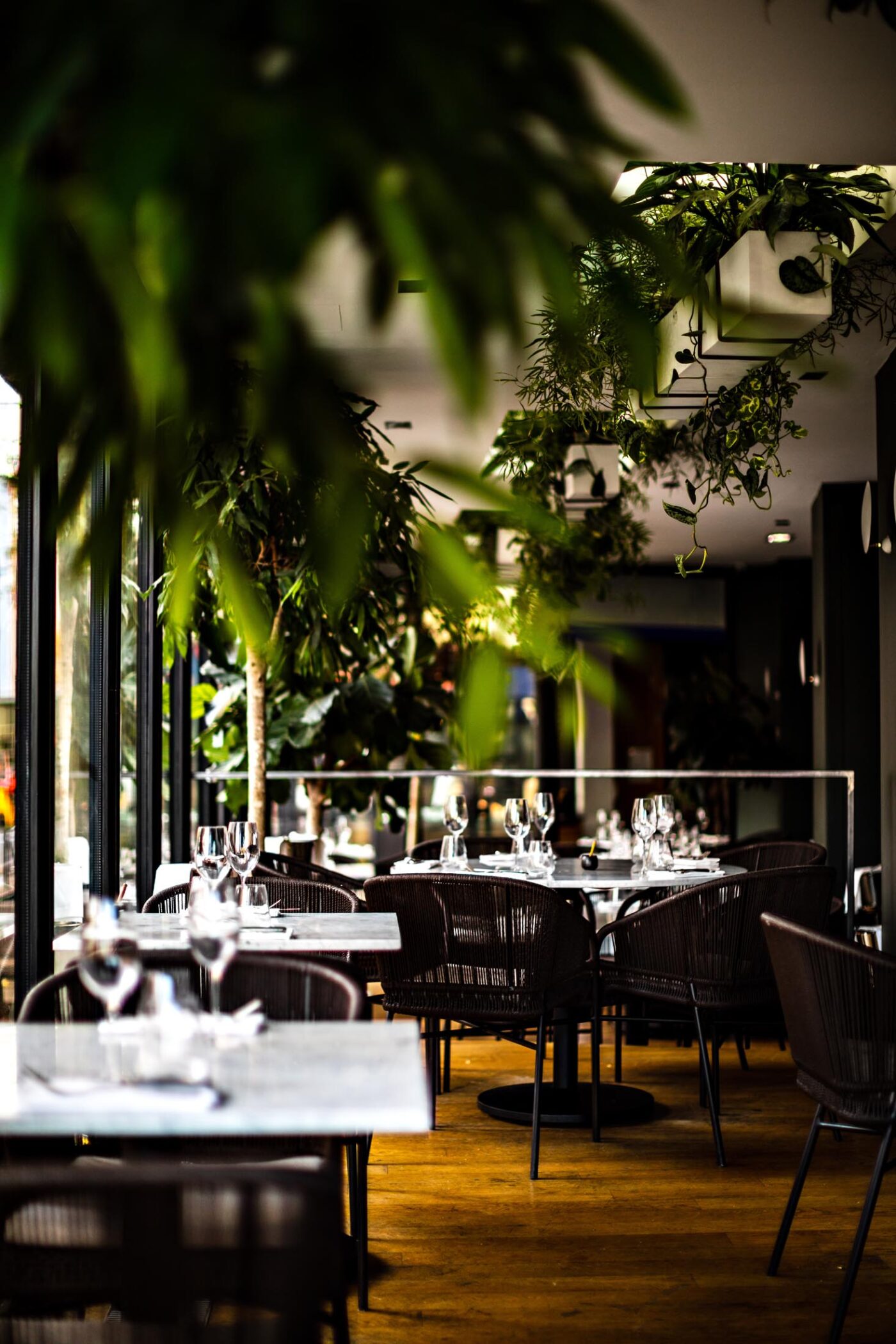 Daroco 16, restaurant italien à l’ouest de Paris